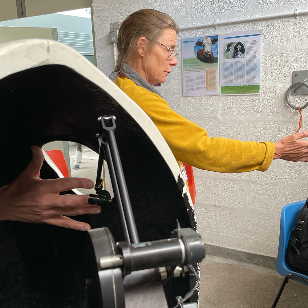 Veterinary Simulators Virtalis